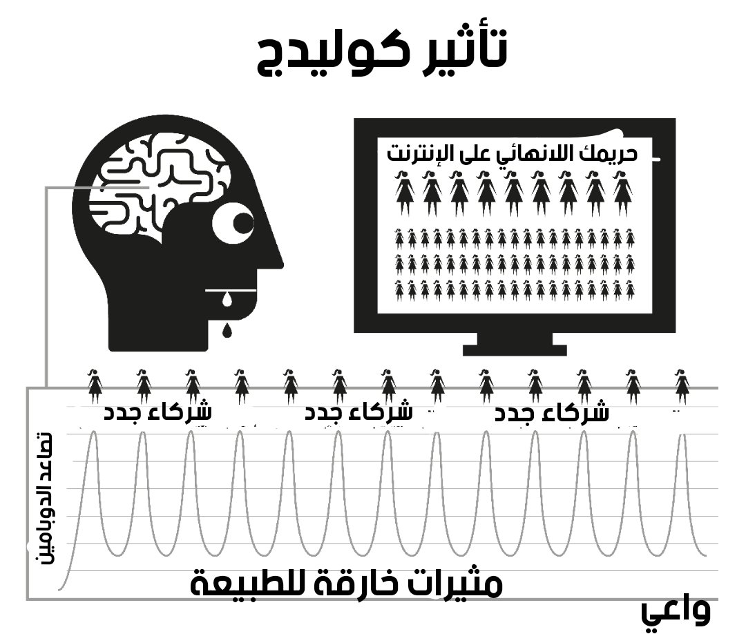 🔞تجعلك الإباحية كسولًا 😴😵💫 ويمكن للعلم تفسير السبب 💥يصف تأثير كوليدج