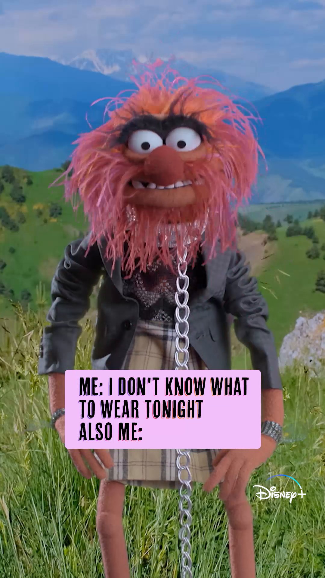 Animal Muppet Meme
