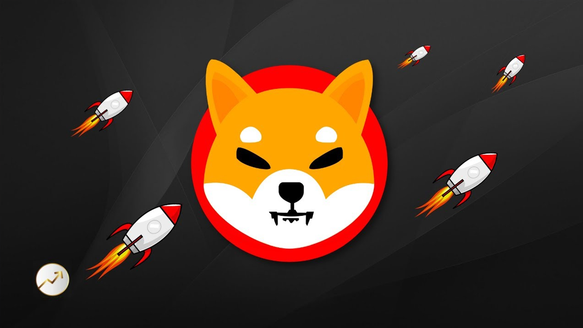 MaxGlow.eth on Twitter: "🎆 The $Shiba airdrop is here. Check eligibility and claim on the site ...