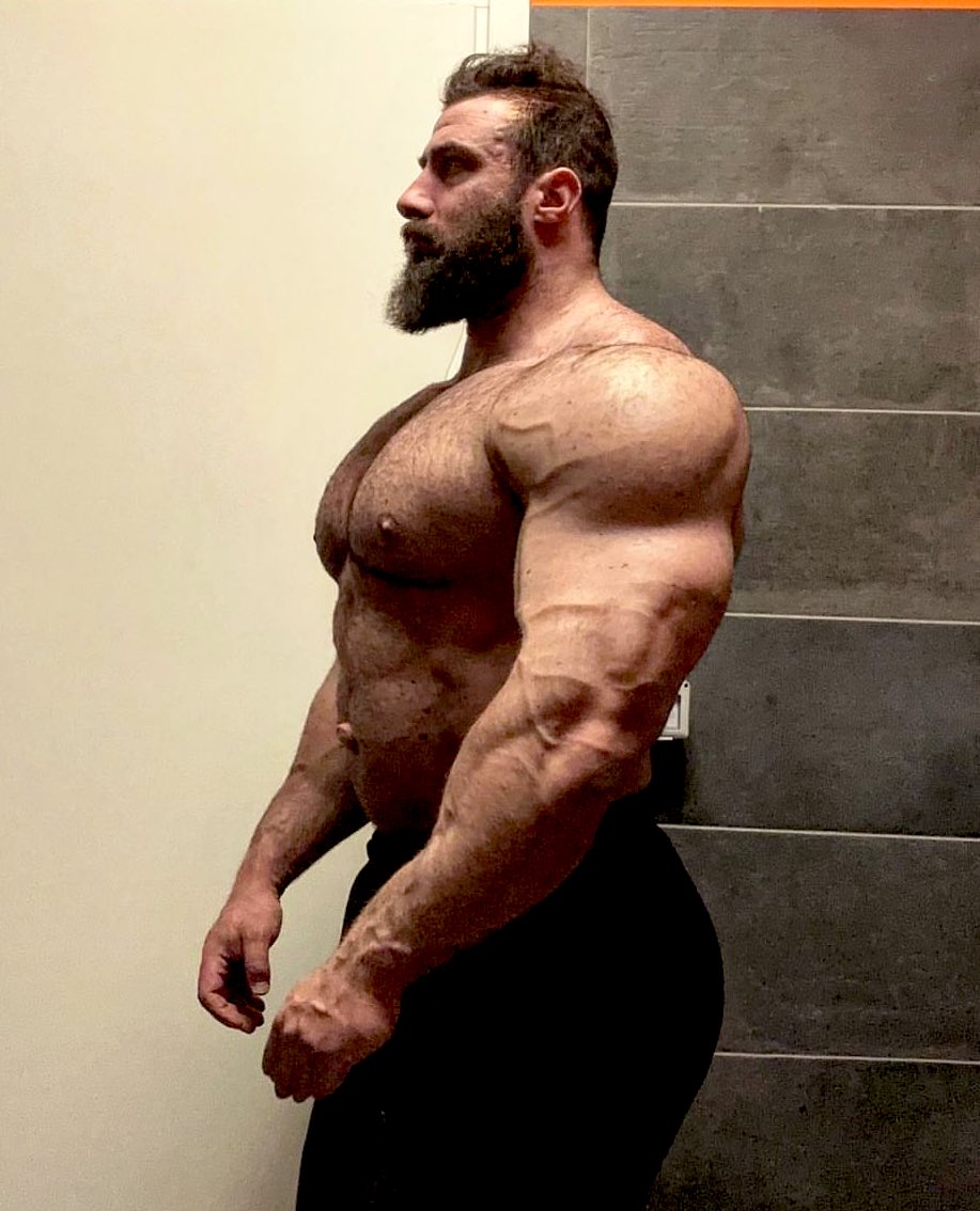 Middle Giants 💪🏻 on Twitter: "Hot alpha bodybuilder with massive round hairy pecs, huge biceps ...