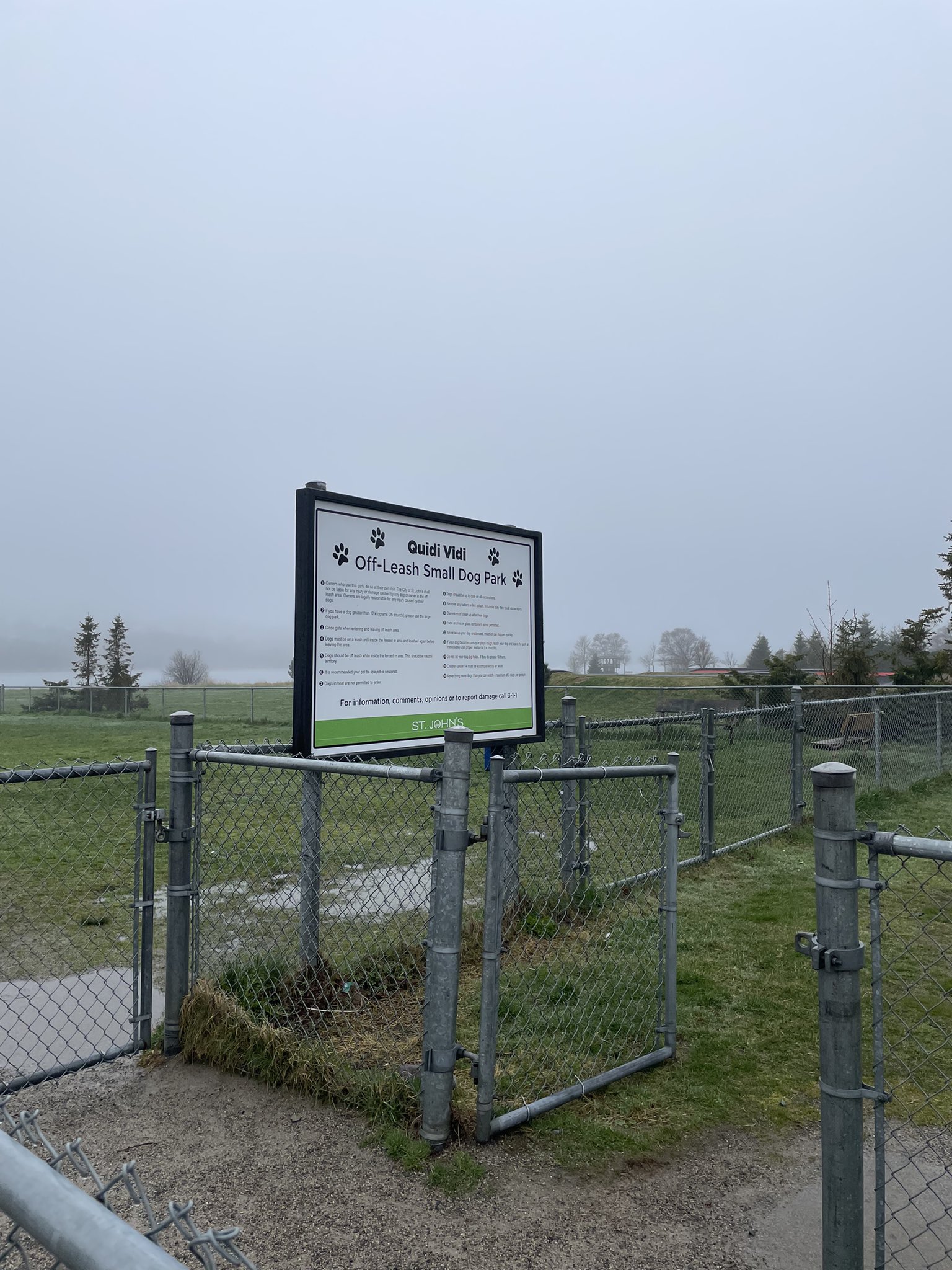 Robyn LeGrow 🫐 on Twitter: "Shout out to @CityofStJohns for the new signage going up at all ...