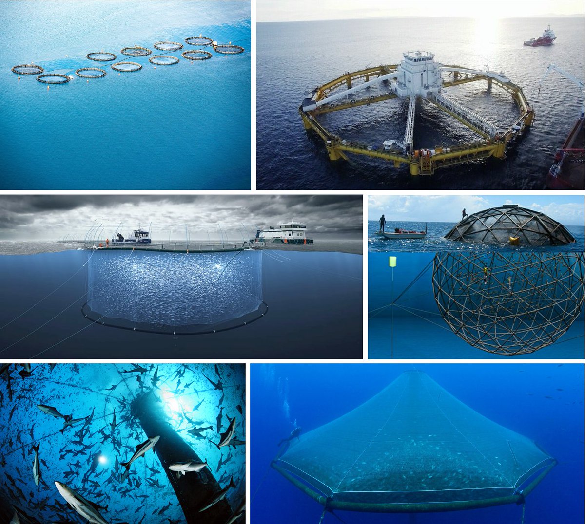 What if we could: • Sequester CO2 • Create more life • Reclaim huge ...