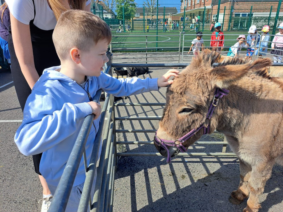 Welcome to Cheam Common Infants’ Academy