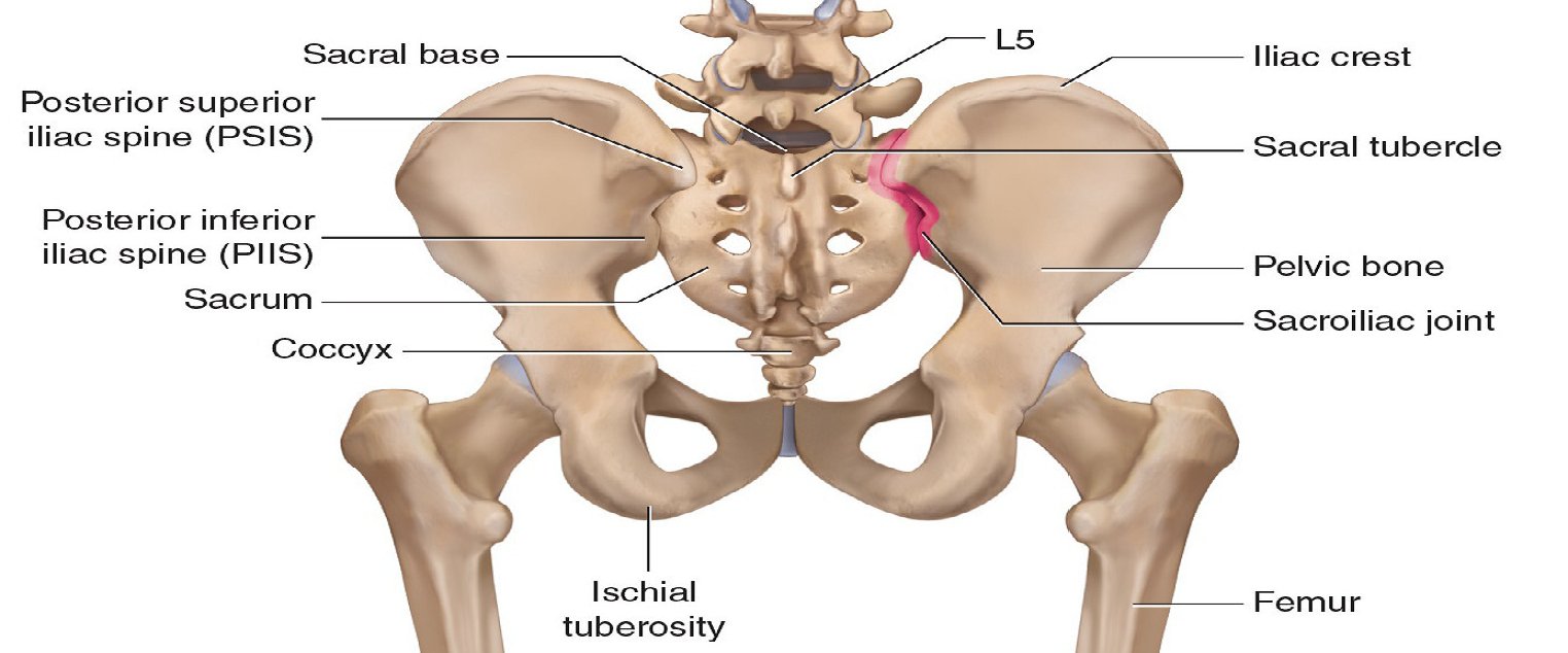 Psis Pelvis
