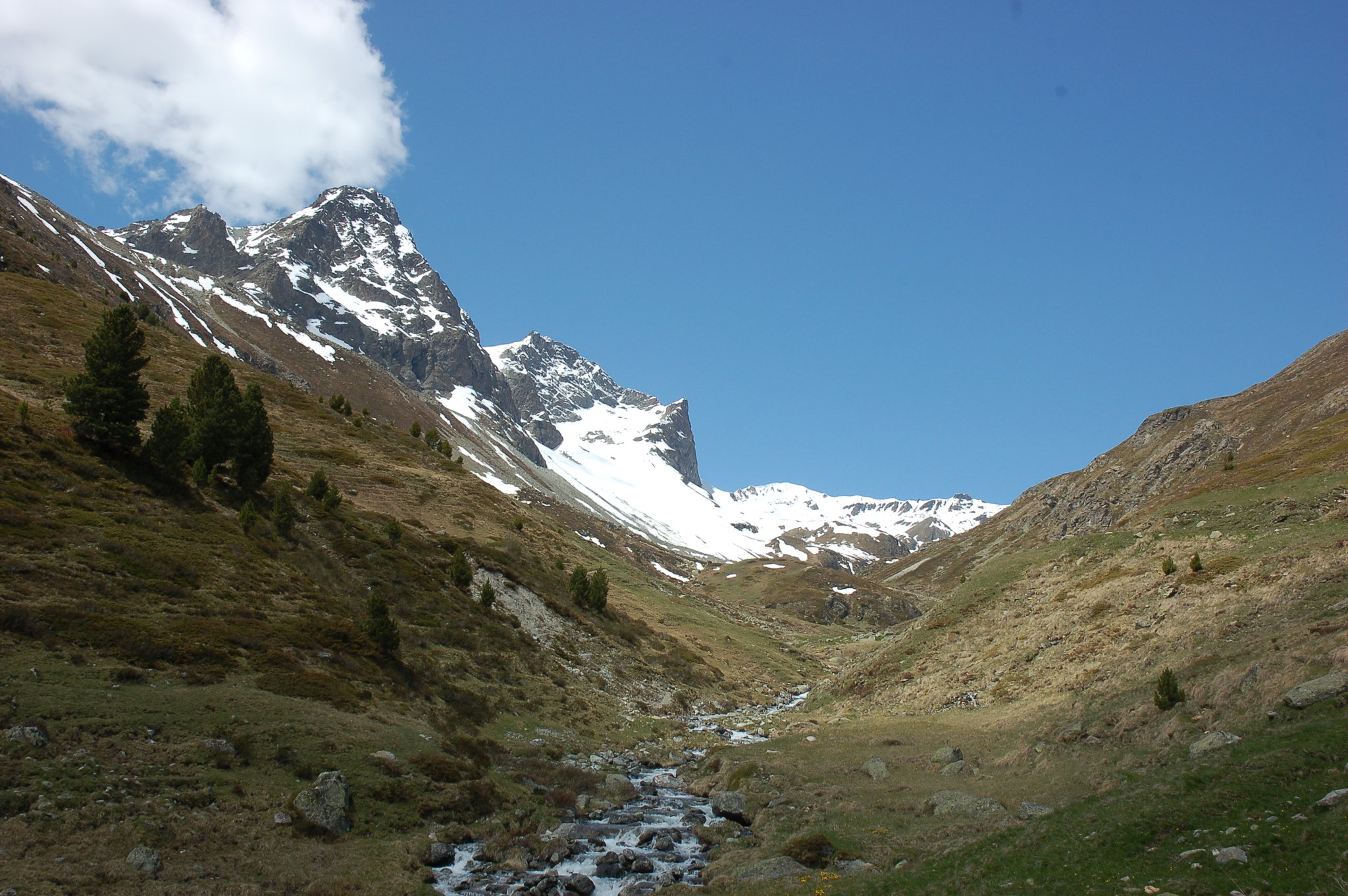 Elizabeth Egan on Twitter: "Basically Sally Gap after a bit of snow! https://t.co/e7X3US2bXm ...
