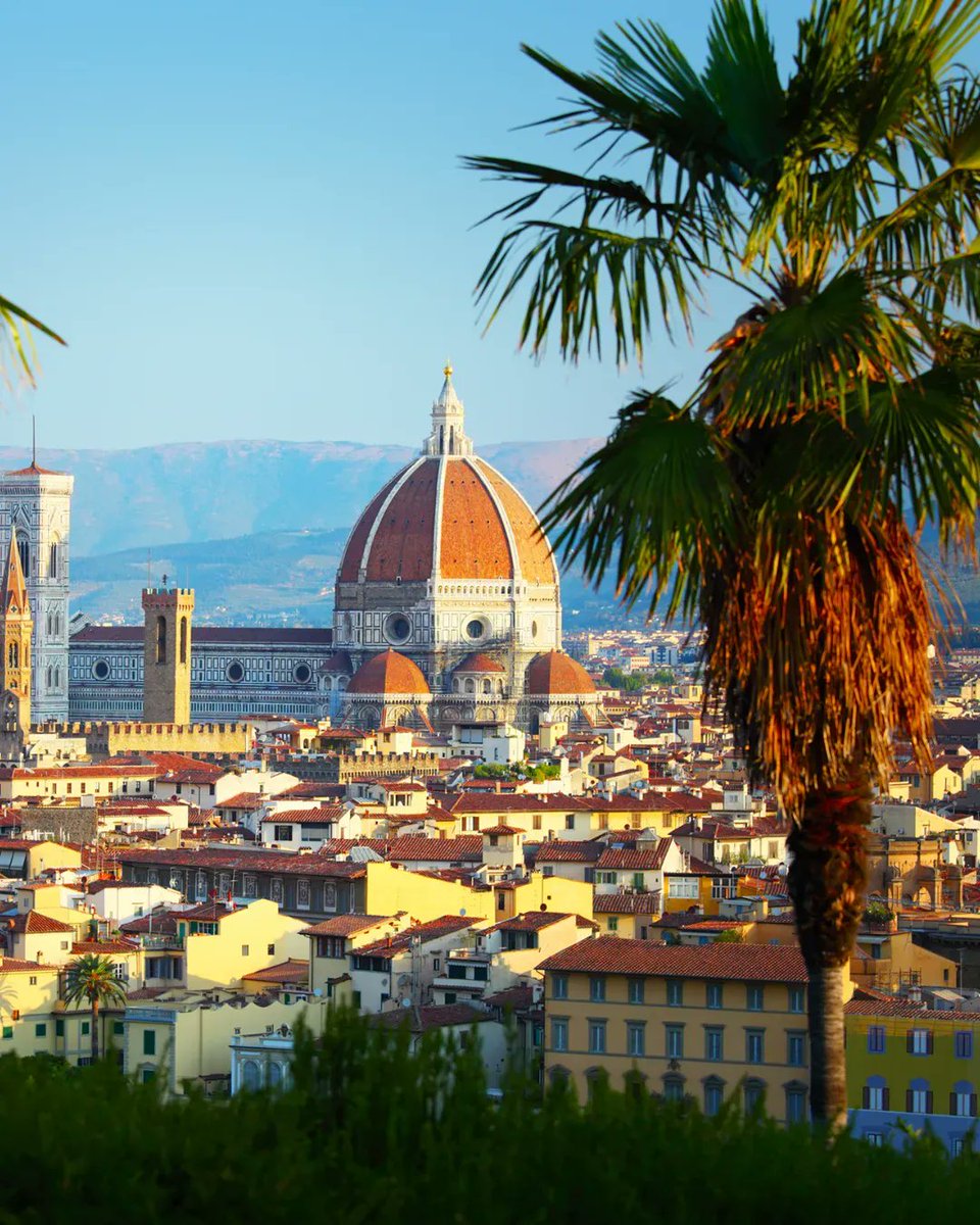Broke & Abroad 🏝 ️ on Twitter: "Florence 🇮🇹 à 54€ en mi-juin ️☀️ ️ https://buff.ly/3q51tuC Plus ...