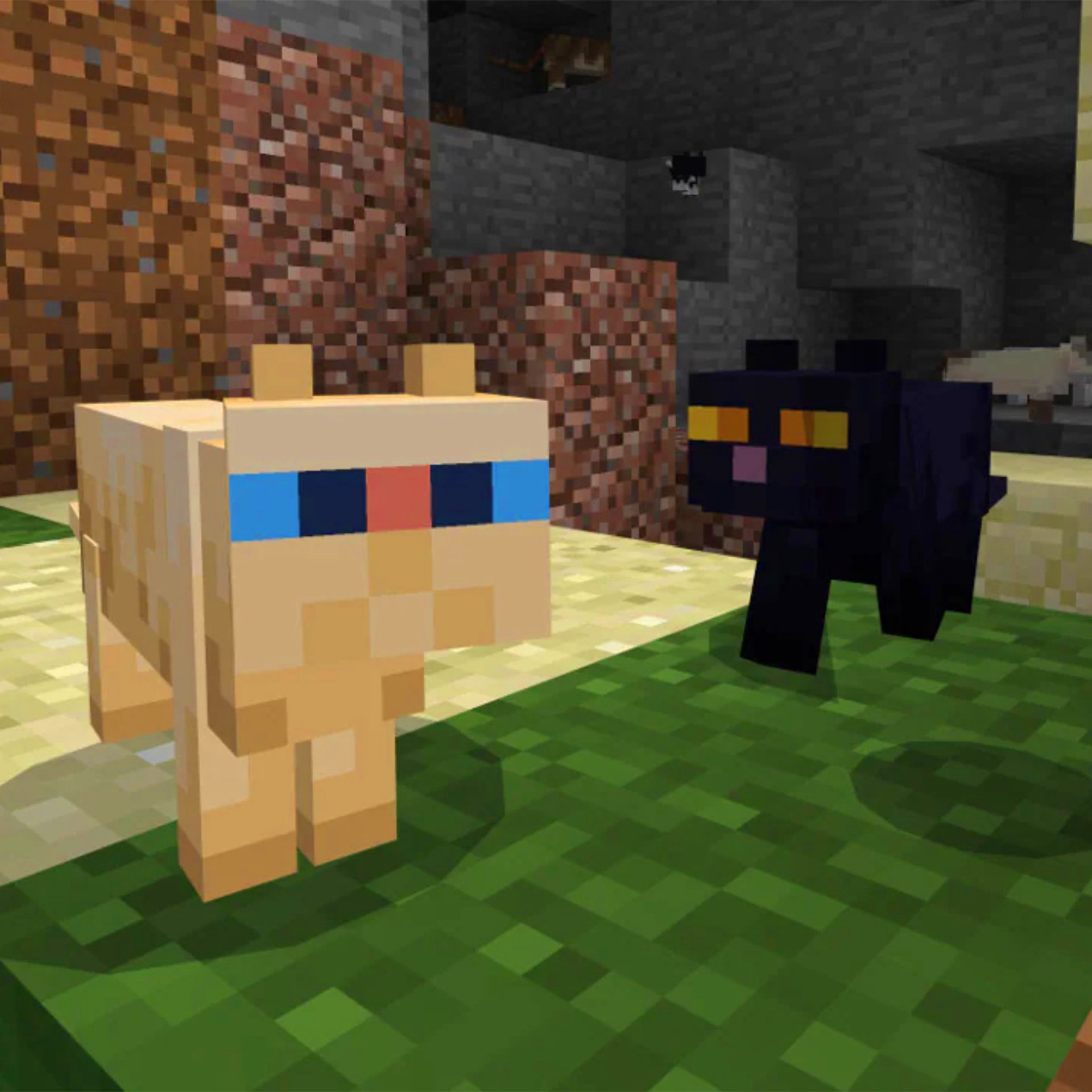 Rare Cats In Minecraft