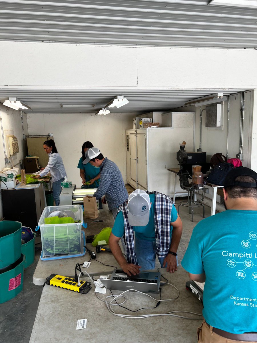 Ciampitti Lab on Twitter: "Field day! Our team is working on a study to investigate the ...