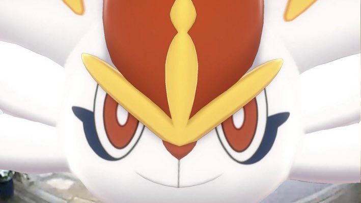 Cinderace Propaganda Nsfw Dni On Twitter When My Cinder Is Acing