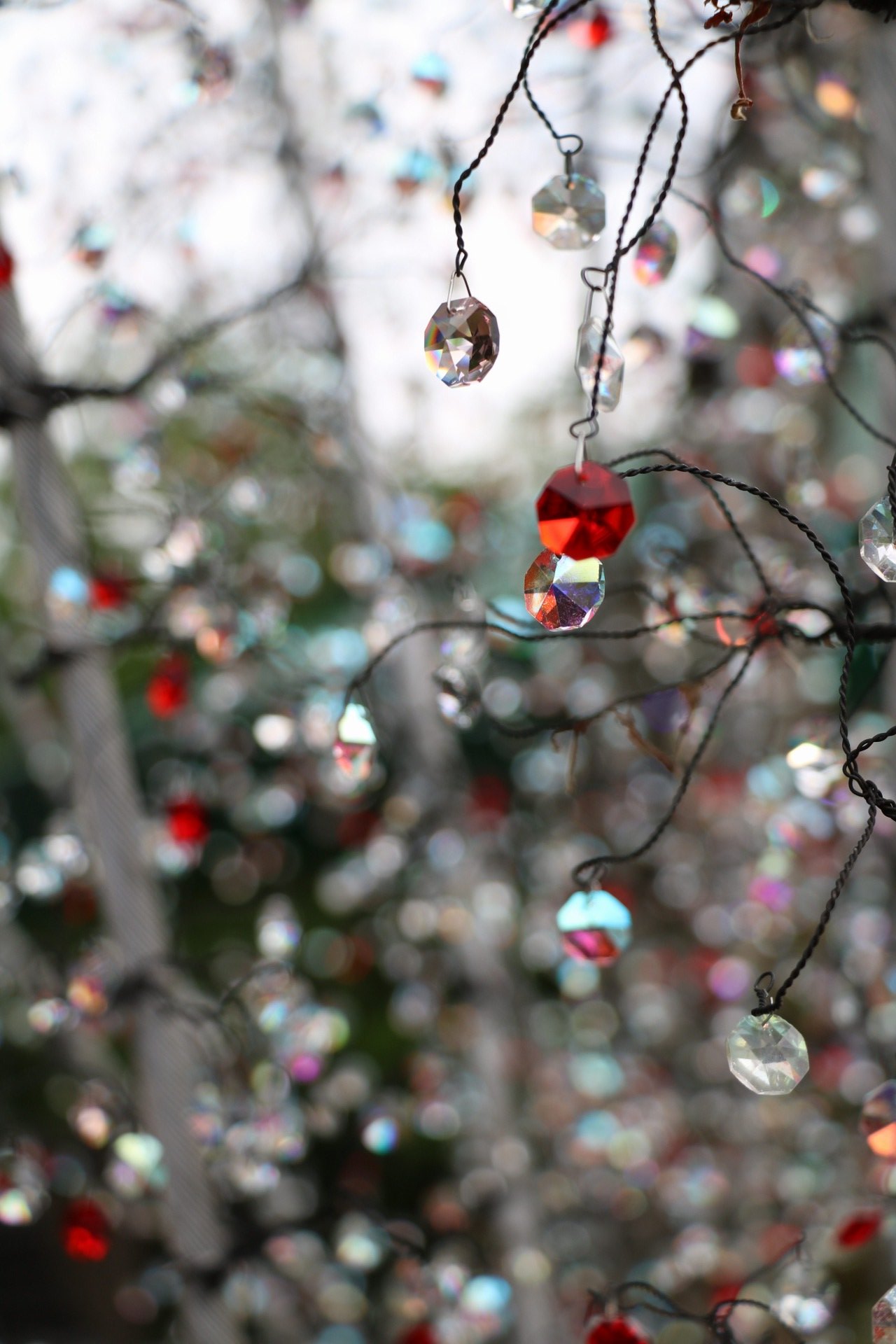 🥗 (@okome_tarako) / Twitter