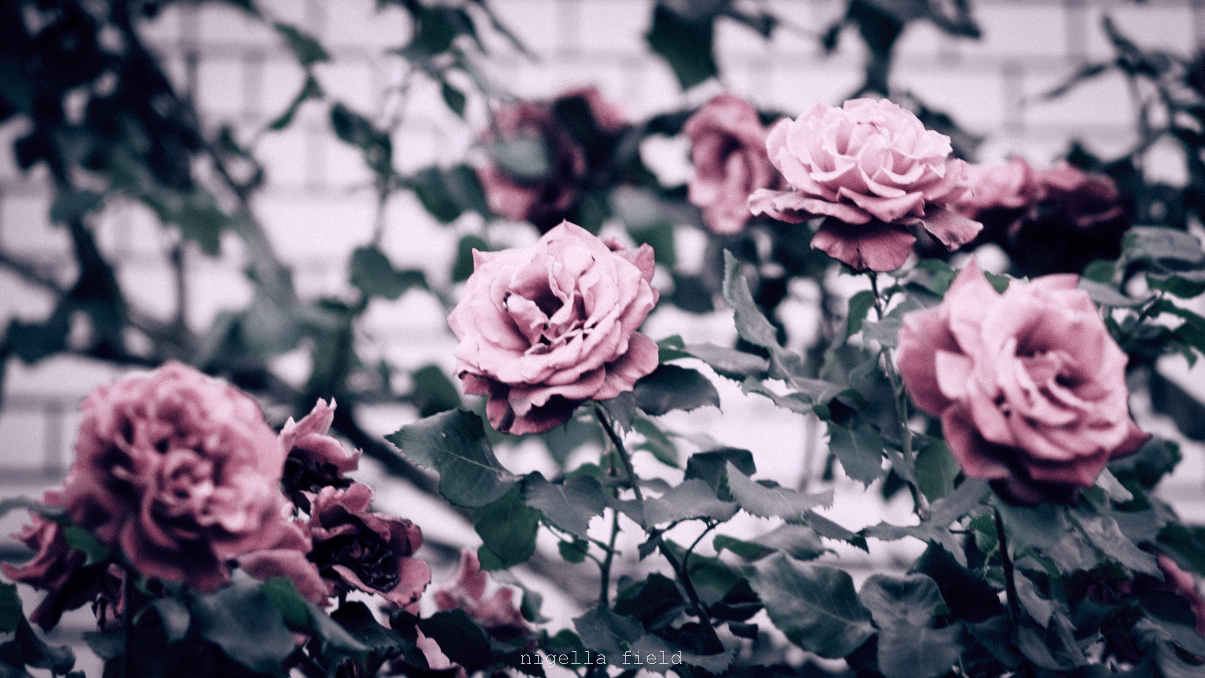 yuya (@yuya0240) / Twitter