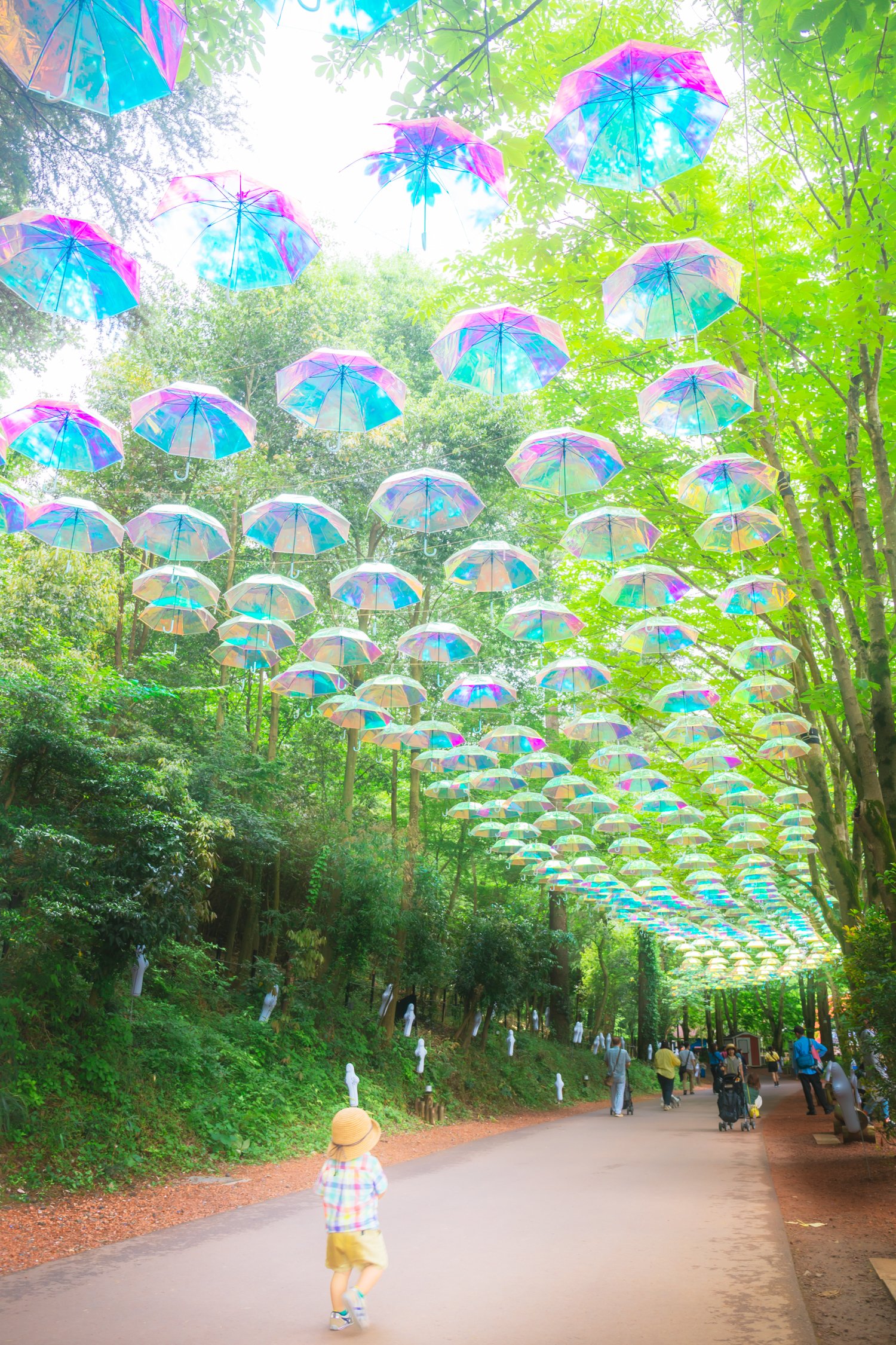 yuya (@yuya0240) / Twitter