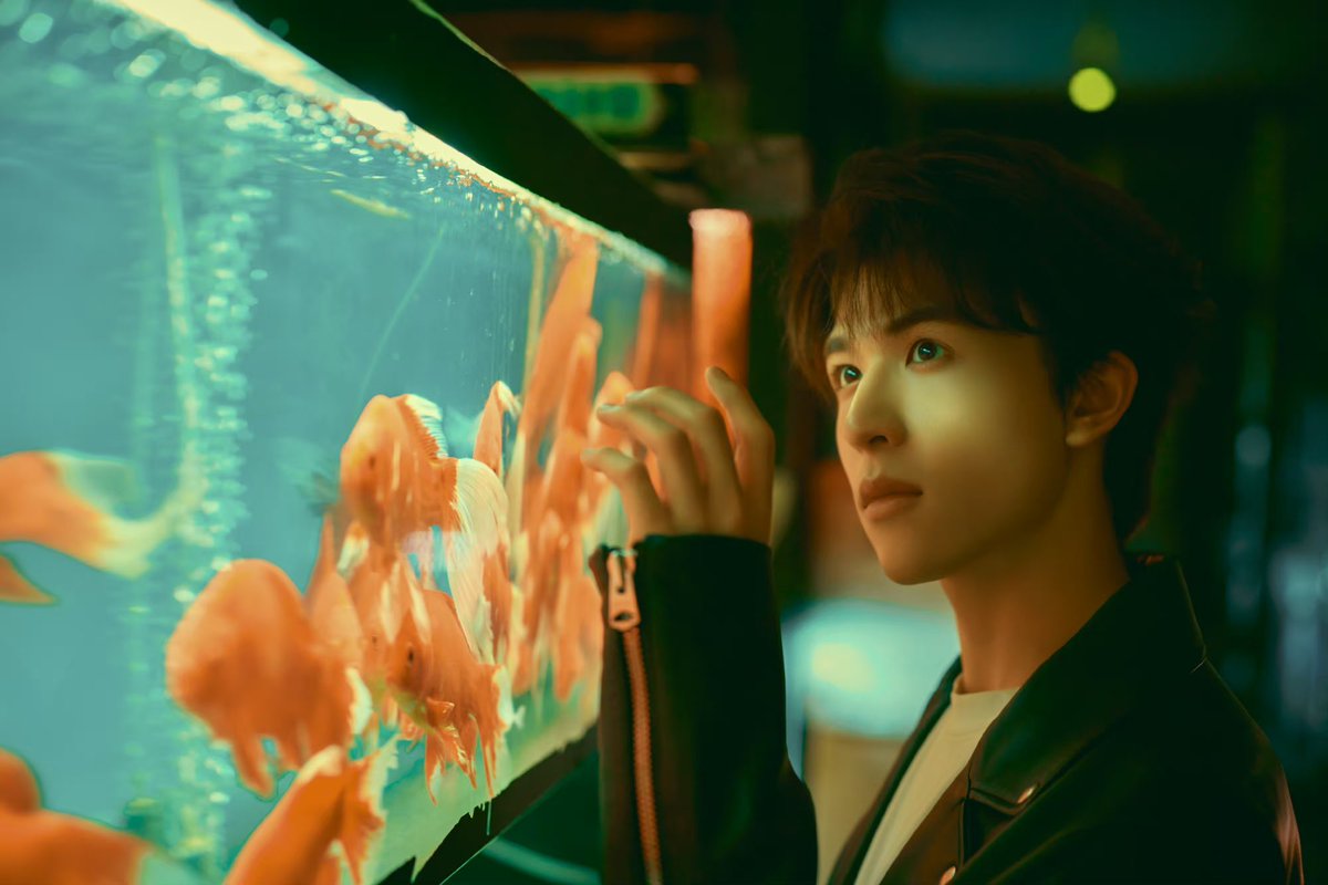 nidepaipai on Twitter: "แพทริค: พวกคุณคิดว่าวันนี้จะเป็น "พายปลาทอง"ใช่ไหมล่ะคับ ไม่ๆๆ วันนี้ ...