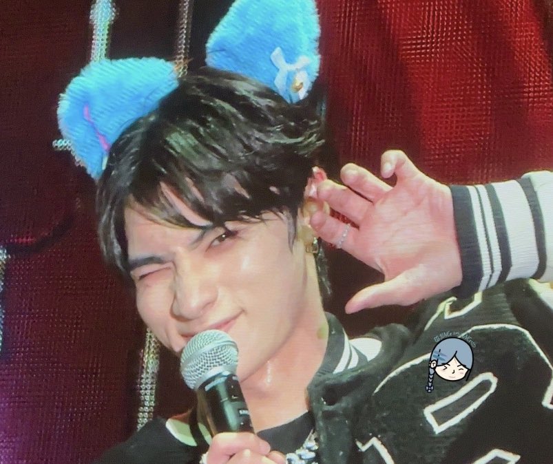 xiaojun pics 🦖 on Twitter: "Blue cat JunJun"