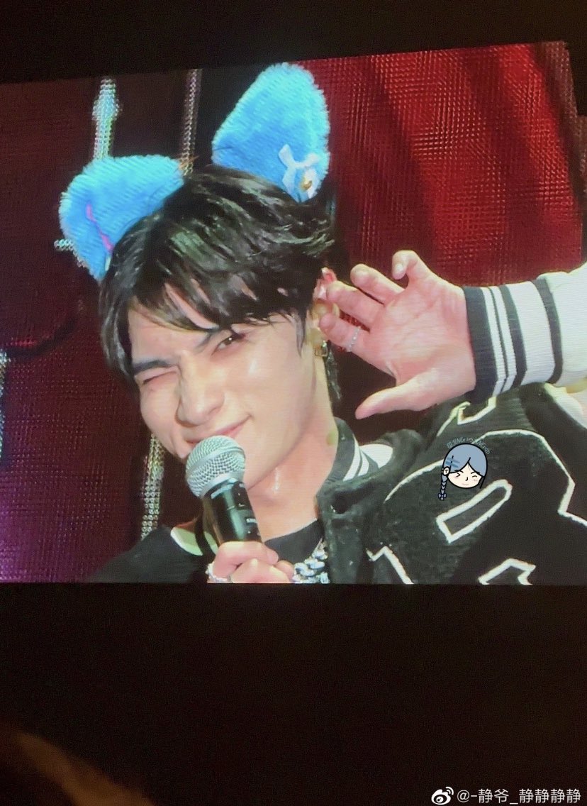 xiaojun pics 🦖 on Twitter: "Blue cat JunJun"