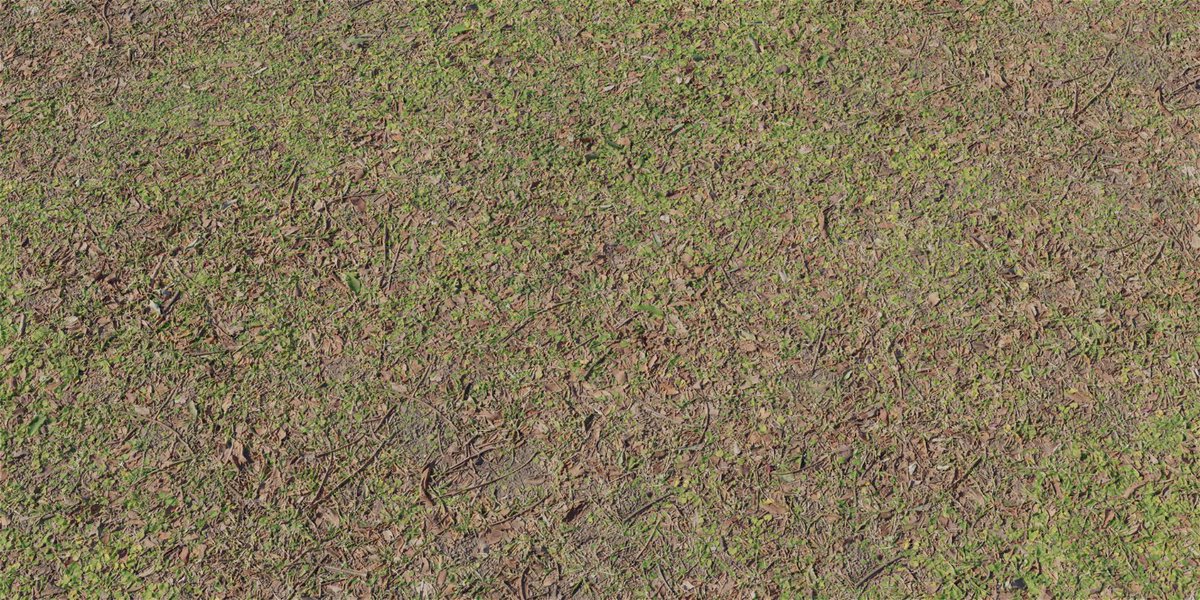 Poly Haven on Twitter: "New 8K Texture: Leafy Grass Download: https://polyhaven.com/a/leafy ...