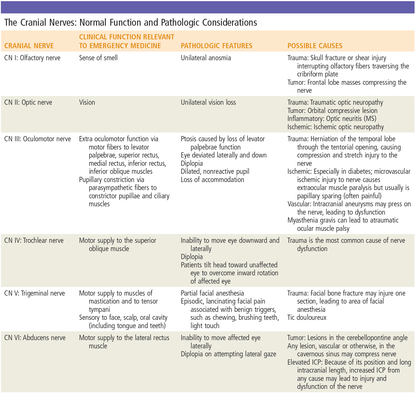 Cranial Nerves And Functions