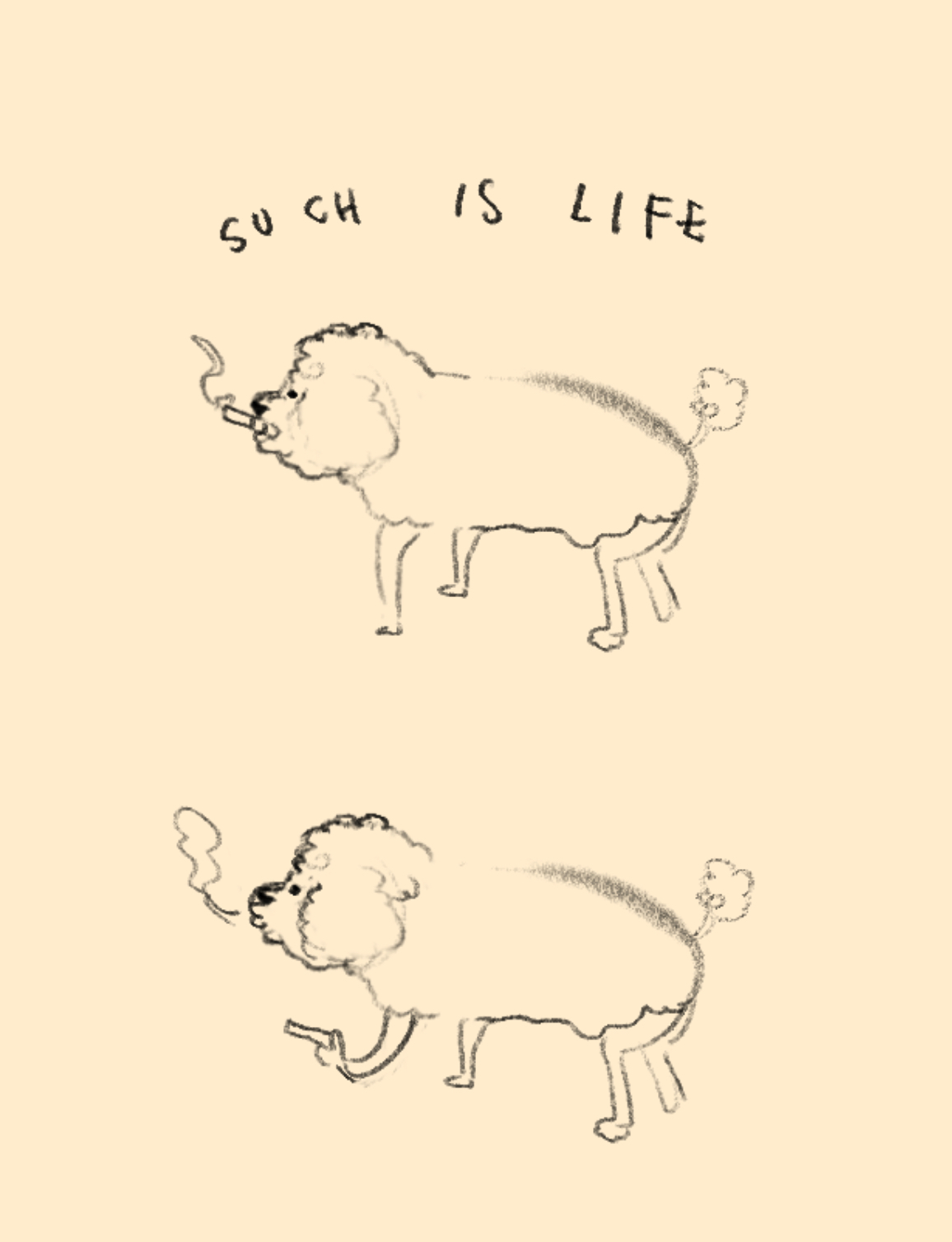 Dog Drinking Water Drawing