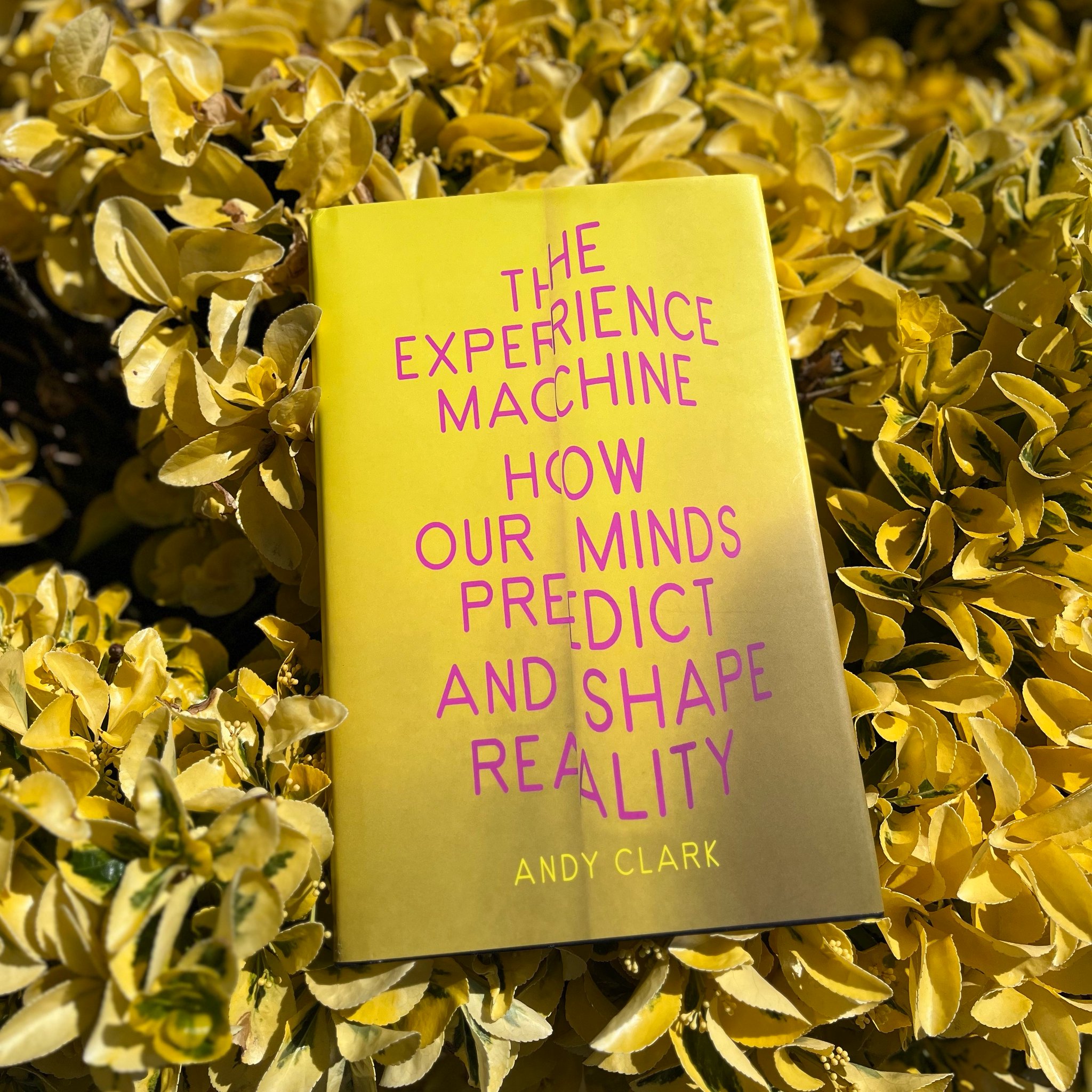 Pantheon Books on Twitter: "📕BOOK RECS📕 Andy Clark, author of THE EXPERIENCE MACHINE, shares his ...