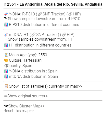 Nrken19 on Twitter: "Y-DNA (R-P310 (R1b) and mDNA (H1)"