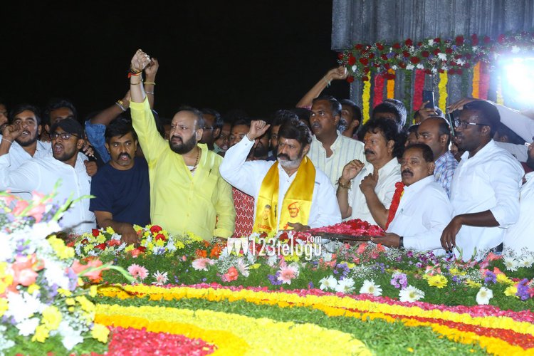 Senior Ntr Photos Gallery