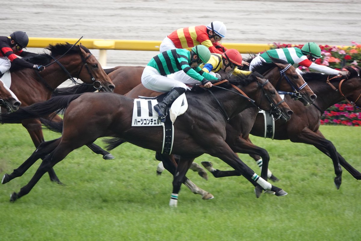 giddra(@giddra) - Twilog