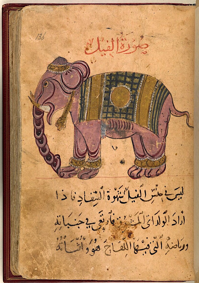 Arabic Calligraphy Elephant