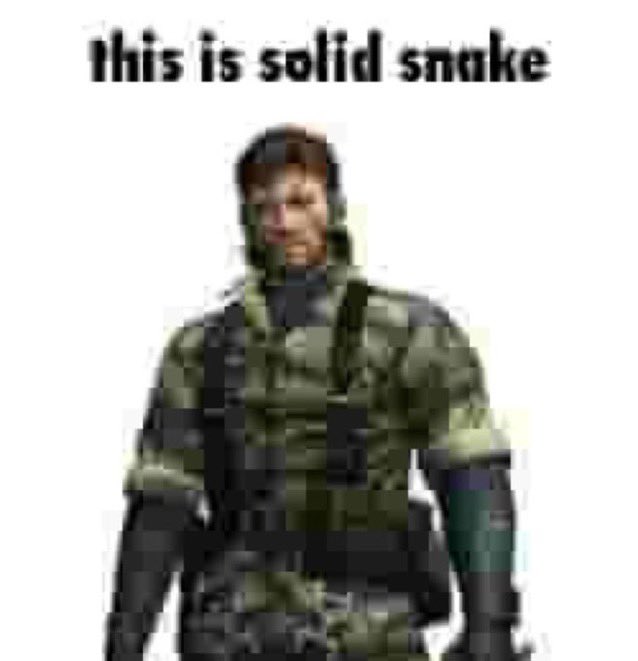Solid Snake Meme