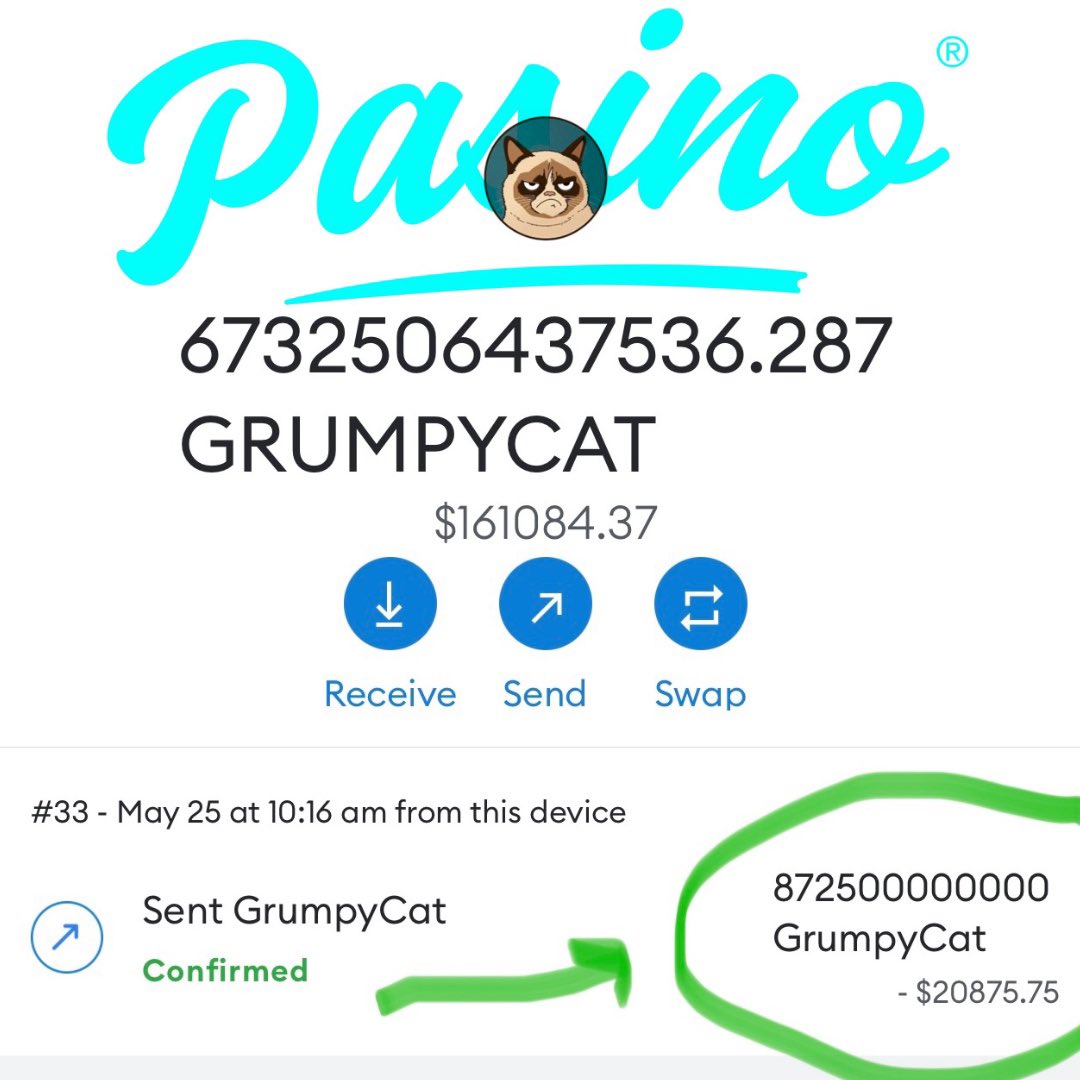 Pasino.com on Twitter: "We have officially listed #GrumpyCatCoin Could it be he's having.... fun? 🤫"