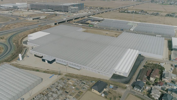 JAcom農業協同組合新聞 on Twitter: "日本最大級ミニトマト生産拠点 茨城県常総市で完工し出荷開始 たねまき常総｜JAcom 農業協同組合新聞 https://t.co ...