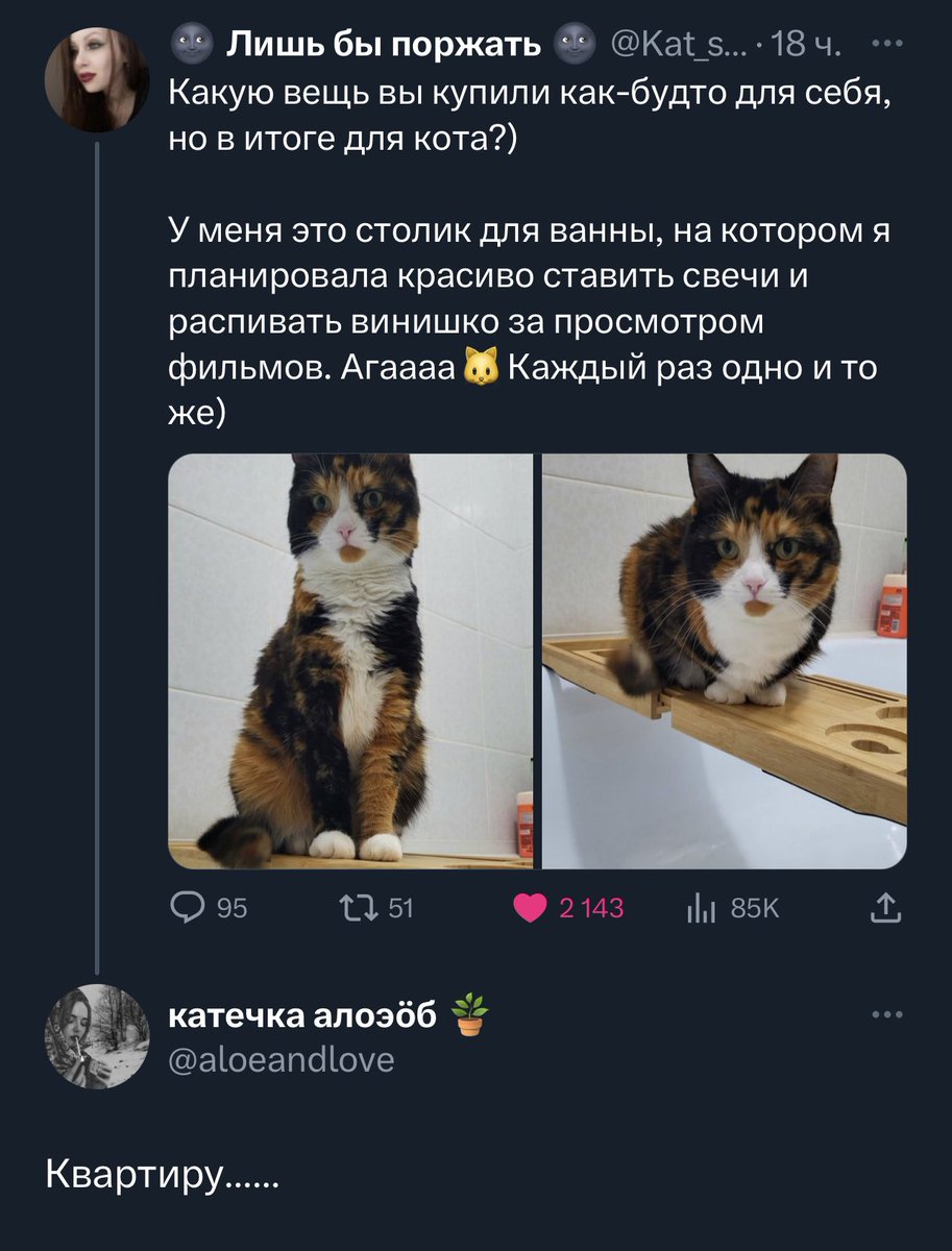 ВЗРОСЛЫЙ КОНТЕНТ On Twitter ЭТО НЕ ШУТКА