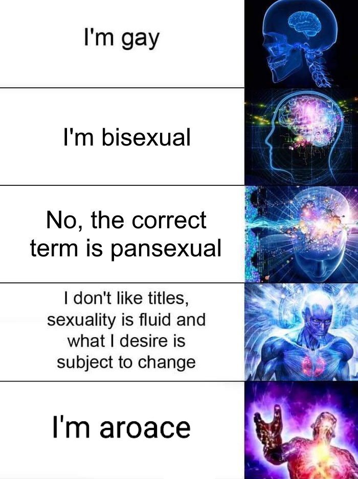 ameeᵕ̈ on Twitter: "RT @Champiccinelle: The aroace pipeline"