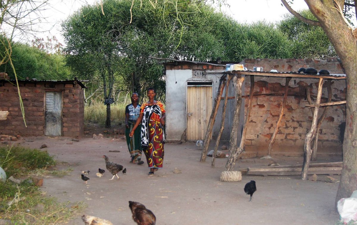 Tanzania Poverty House