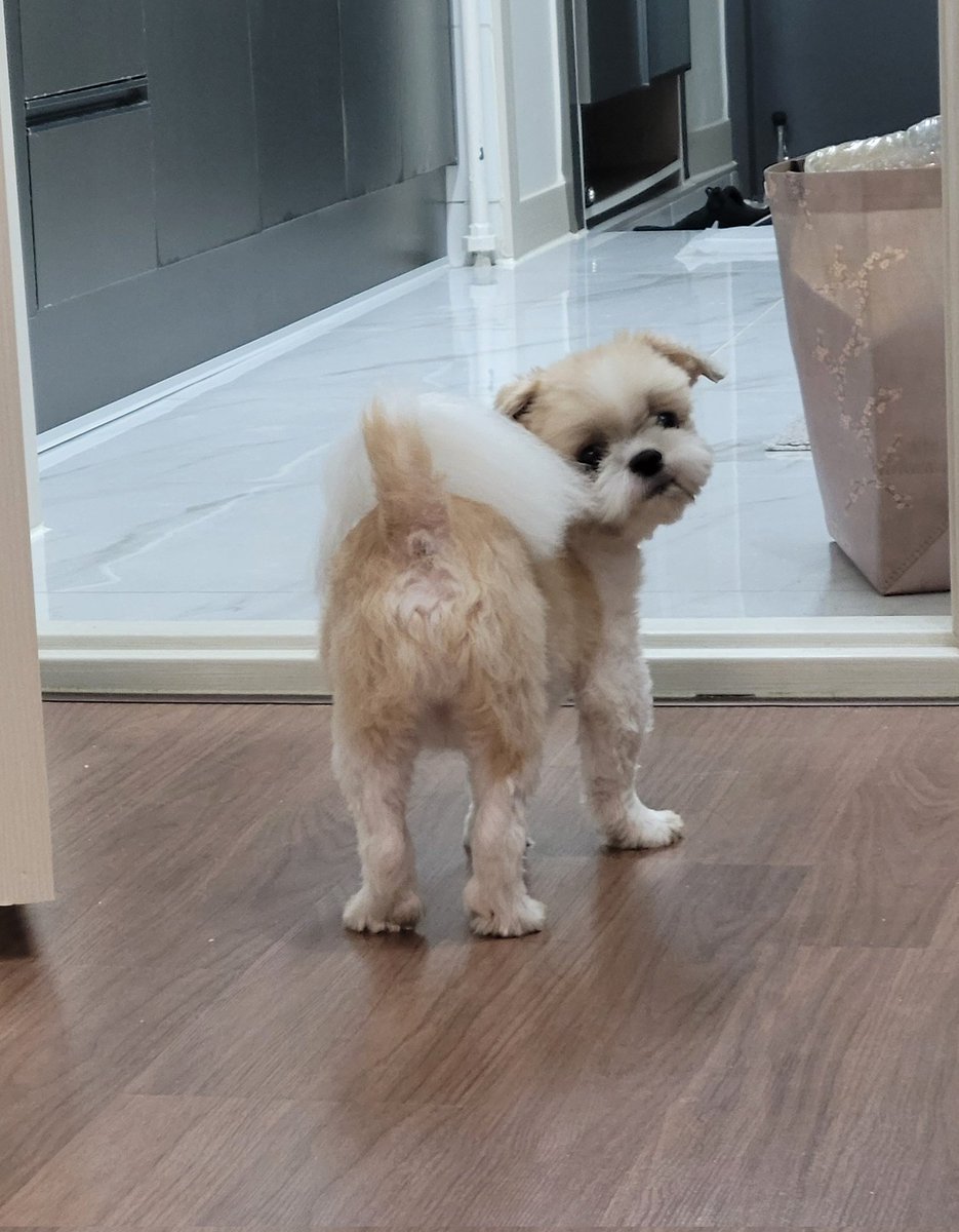 ♨인생쉽게만살아가면재미있어빙고♨ On Twitter 엉덩이와얼굴을보여주는포즈
