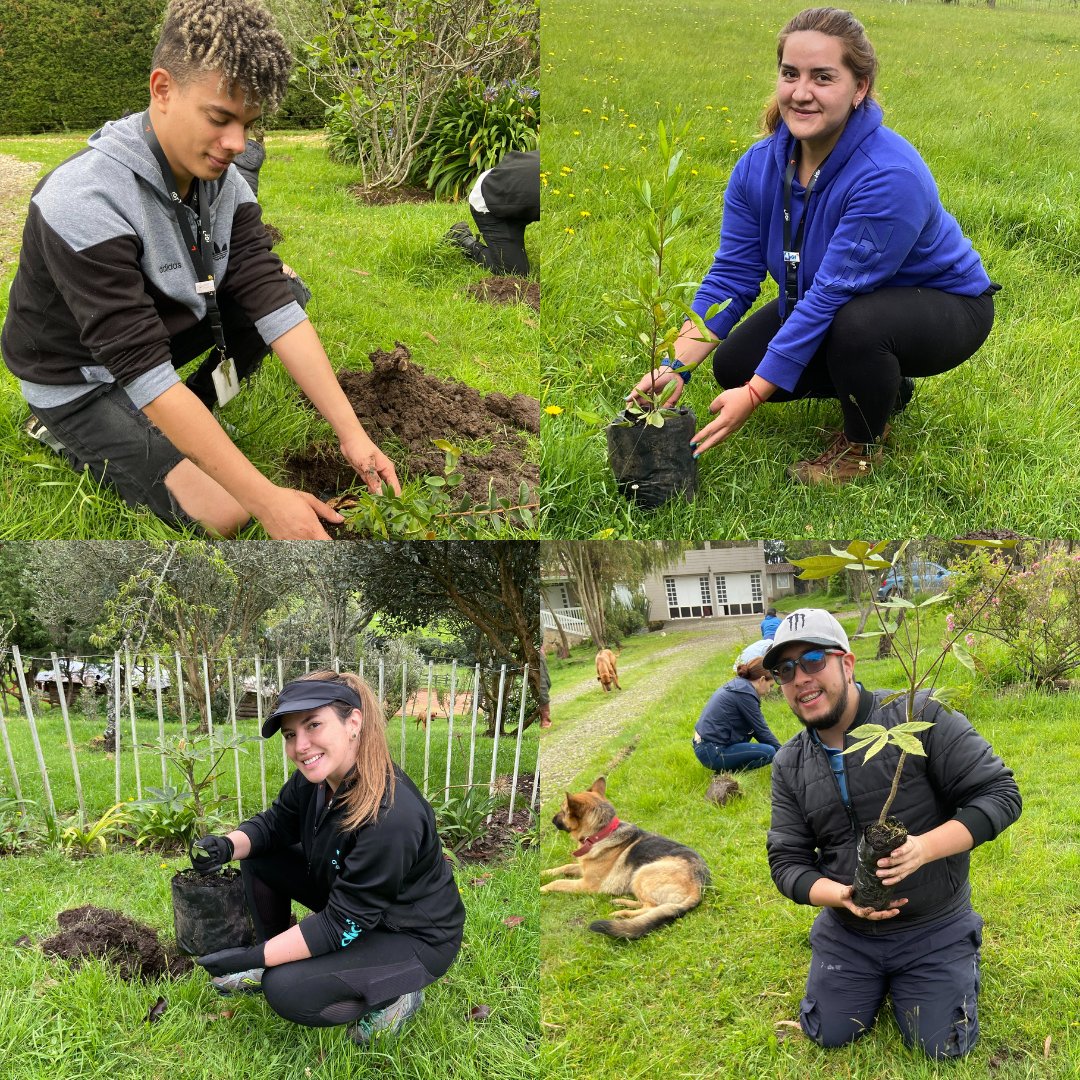 IGT Solutions | AmbitionBox