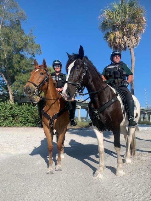 Manatee Sheriff on Twitter: Manatee Sheriff on Twitter: