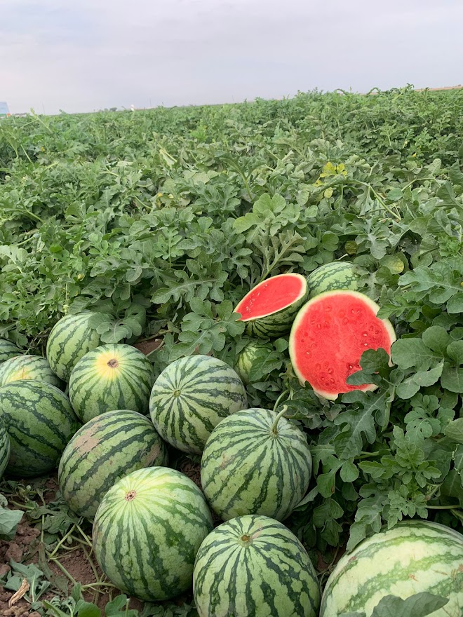 Happy new week, farmers, As promised, here is some guidance on how to ...