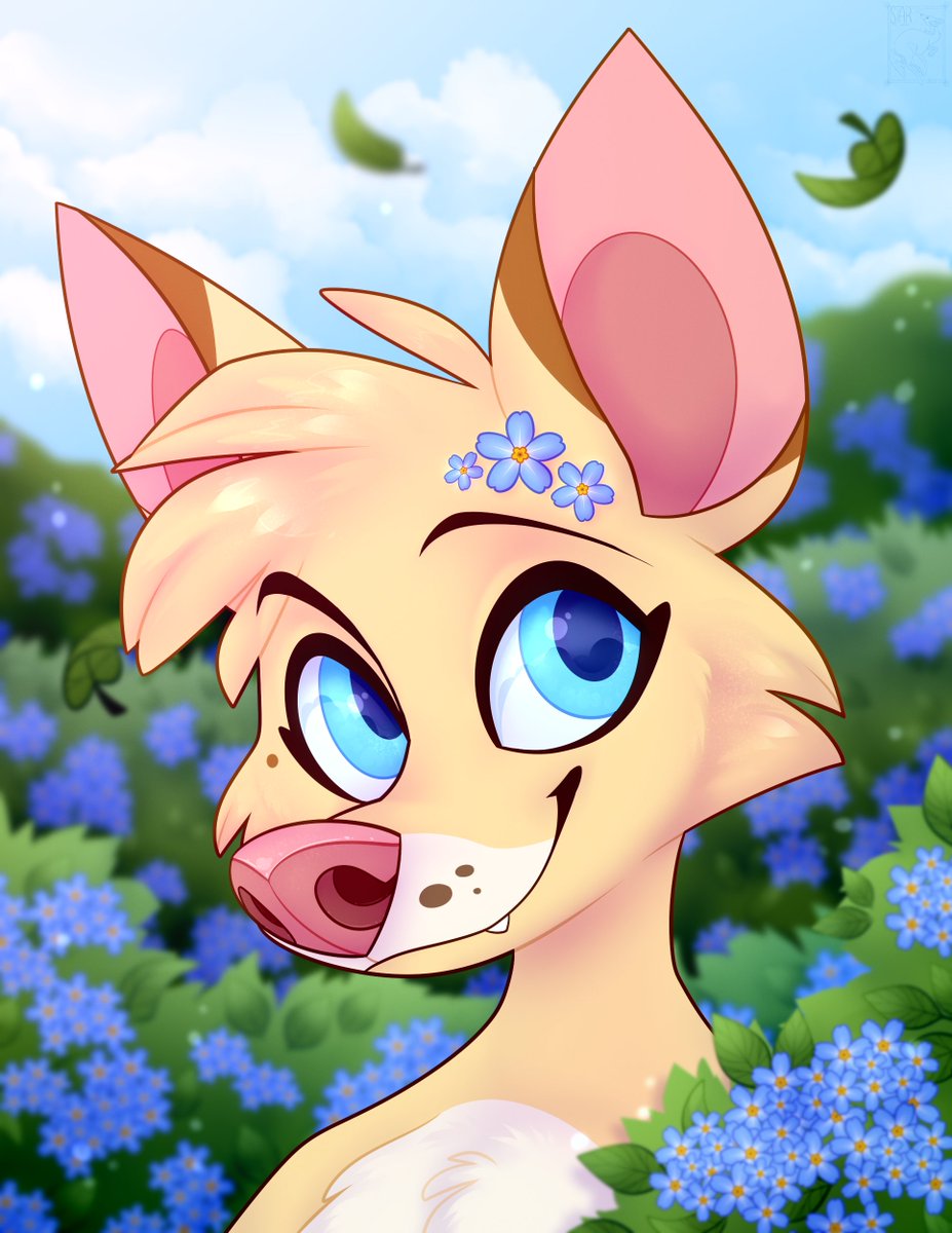 「Forget Me Not 」| Star のイラスト