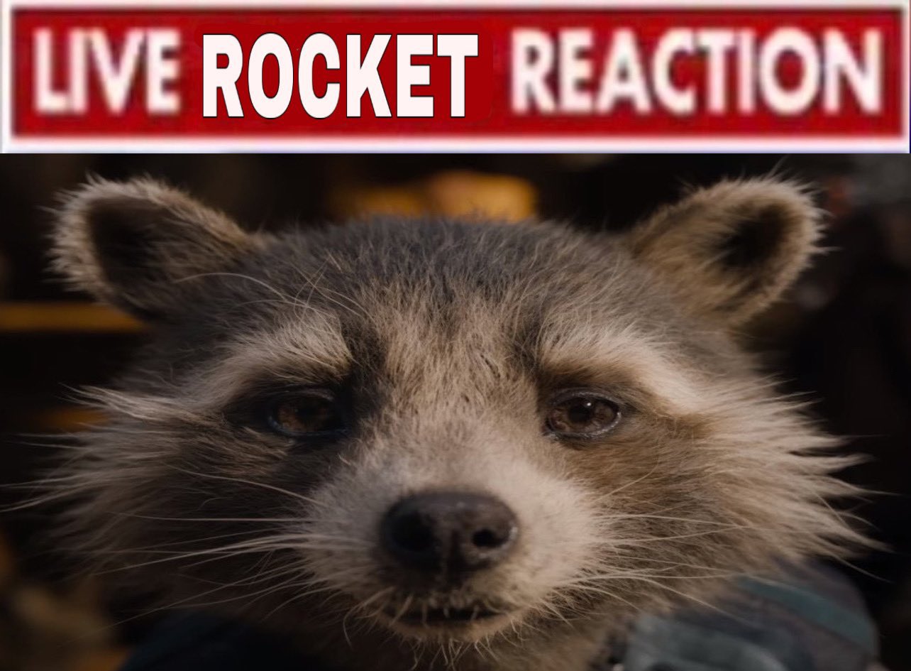 Memes De Rocket Raccoon Guardians Of The Galaxy: Rocket Raccoon's Best