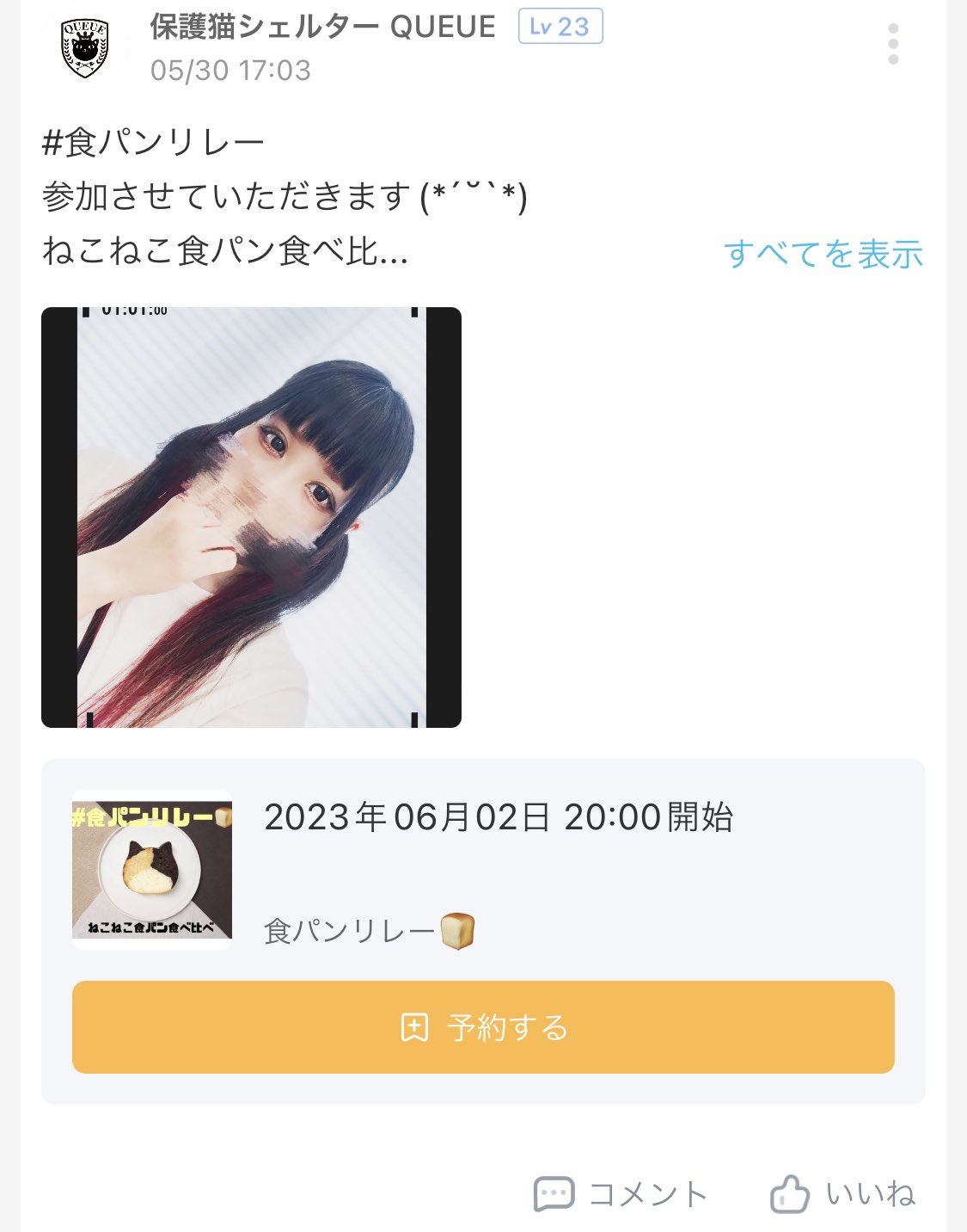 保護猫シェルター QUEUE on Twitter: "#食パンリレー #ミルダム 百瀬ゆいさん @yui_yui_0622 からバトン受け取りました！ 金曜日配信します https://t ...