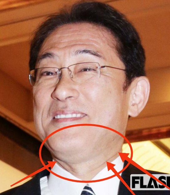ターメリック On Twitter まだ知らない人の為に上げときますが岸田文雄、翔太郎親子はご〜む〜🙏😇