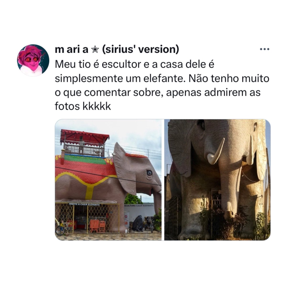 CHOQUEI on Twitter: "🚨BRASIL: Internauta viraliza ao mostrar “Casa Elefante” de tio no interior ...
