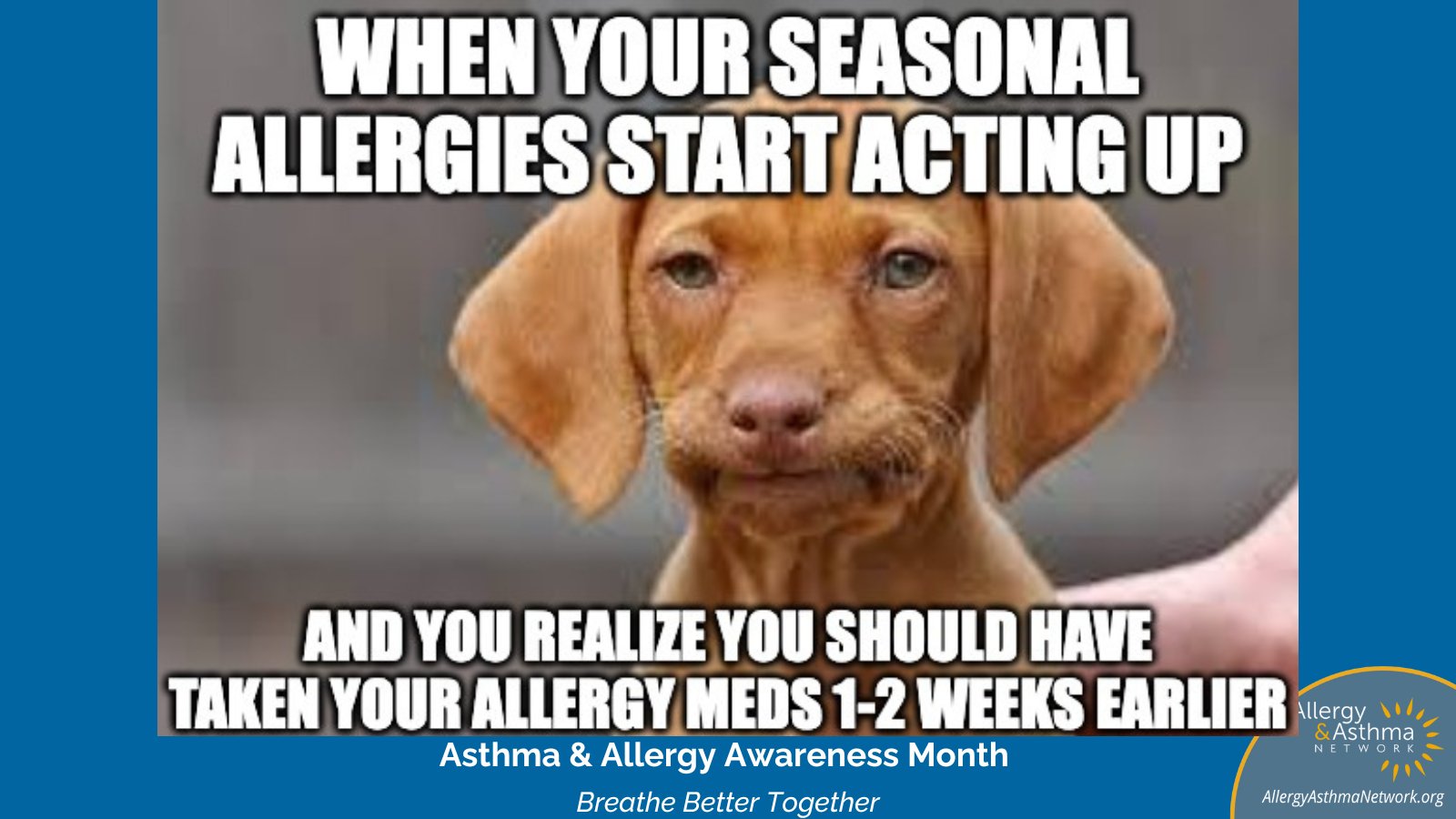 Fall Allergy Memes A Medicinal Amount Of 20+ Allergy Season Memes To