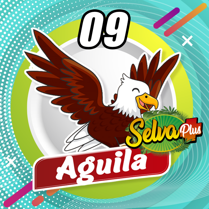 D̳A̳T̳O̳S̳ ̳D̳E̳L̳ ̳É̳X̳I̳T̳O̳ on Twitter: "RT @SelvaPlus: 🚨RESULTADO DEL SORTEO🚨 SELVA PLUS🌟 📆 ...