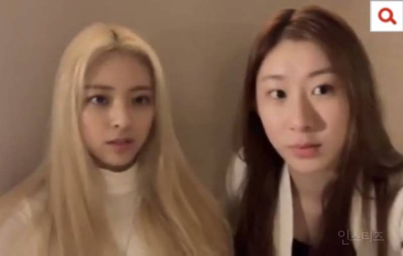 인스티즈 on Twitter: "ITZY 채령을 많이 닮은듯한 고양이 (링크에 더있어요👉) https://instiz.net/pt/7387559"