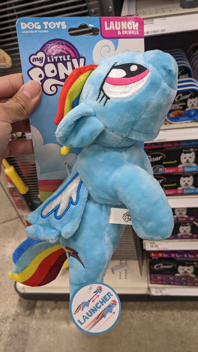 Rainbow Dash Dog