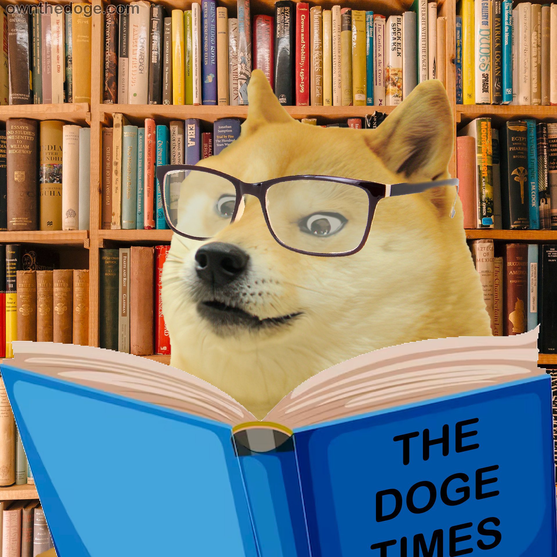 Doge Reading Meme