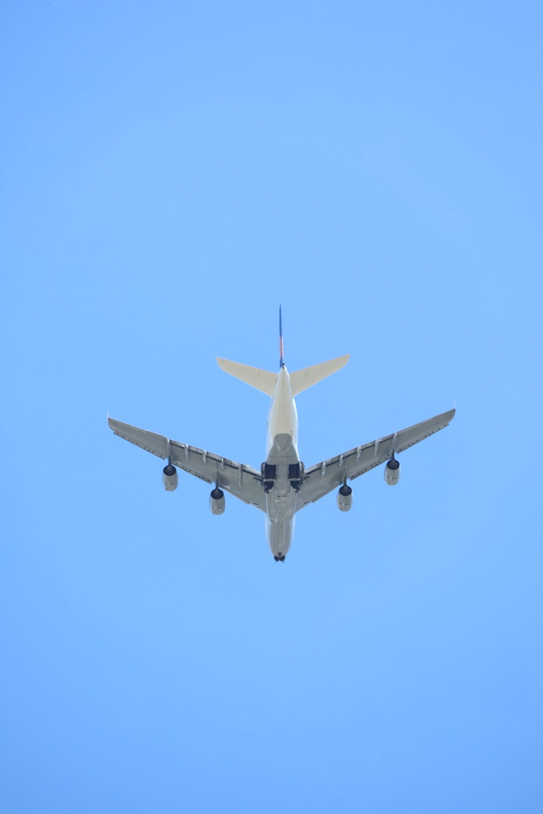 Flightradar24 on Twitter: "Airbus A380 D-AIMM is back in the air for @lufthansa crew training ...