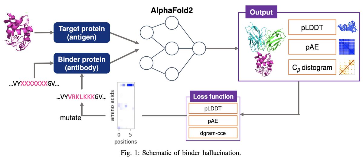 Diego del Alamo on Twitter: ""Antibody Complementarity-Determining Region Sequence Design using ...
