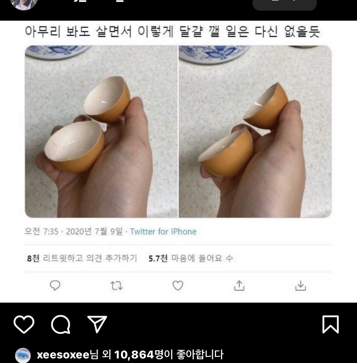 디어 On Twitter 아 개웃겨 탐라에서 주워옴 ㅋㅋㅋㅋㅋㅋㅋㅋㅋㅋㅋㅋㅋㅋㅋㅋㅋㅋㅋㅋㅋㅋㅋㅋㅋㅋㅋㅋㅋㅋㅋㅋㅋㅋㅋㅋㅋㅋㅋㅋㅋㅋㅋ